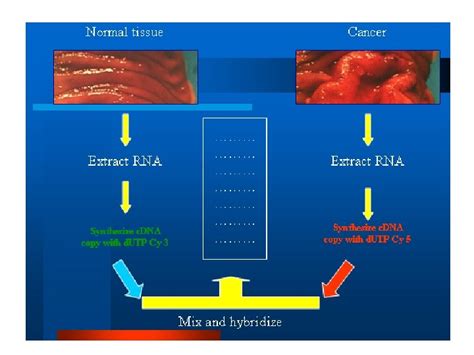 Microarray Technology Introduction Microarrays Are Extremely Powerful Ways