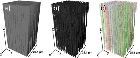 X Ray Nano Ct Volume Renderings Of The Sample Prior To Carbonate Download Scientific Diagram