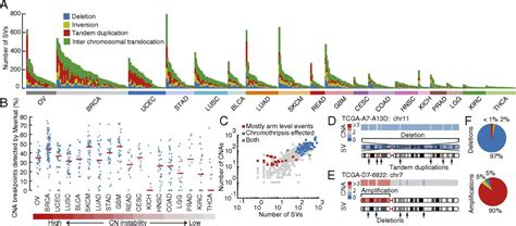 Global Analysis Of Somatic Structural Genomic Alterations And Their Impact On Gene Expression In