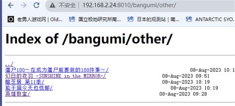视频解析失败 Issue 20 codysk bgmi docker all in one GitHub
