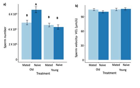 The Effect Of Male Age And Mating History On Sperm Traits A Sperm