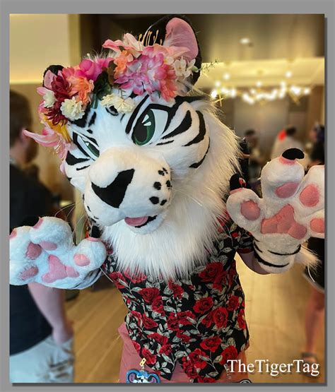 215212 Safe Big Cat Feline Mammal Tiger Convention Flower