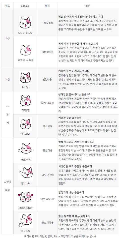 고양이 울음소리 종류 감정을 나타내는 신호 비마이펫 라이프
