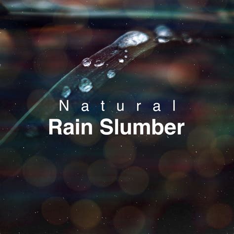 Natural Rain Slumber Album By Rain For Deep Sleep Spotify