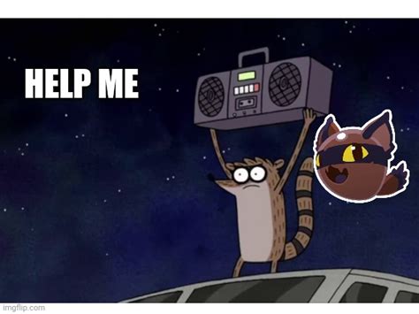 Human Anus Can Take 133 Raccoons Imgflip