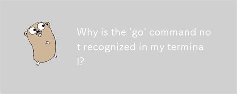 為什麼我的終端無法辨識 go”指令？ golang php中文網