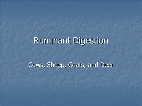 Ppt Ruminant Digestion In Cows Sheep Goats And Deer An Overview
