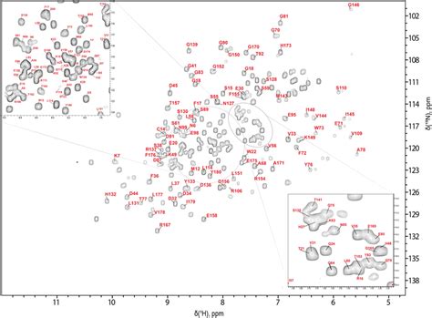 700 Mhz 2d ¹h ¹⁵ N Hsqc Nmr Spectrum Of Npun H Nox At 298 K Resonance