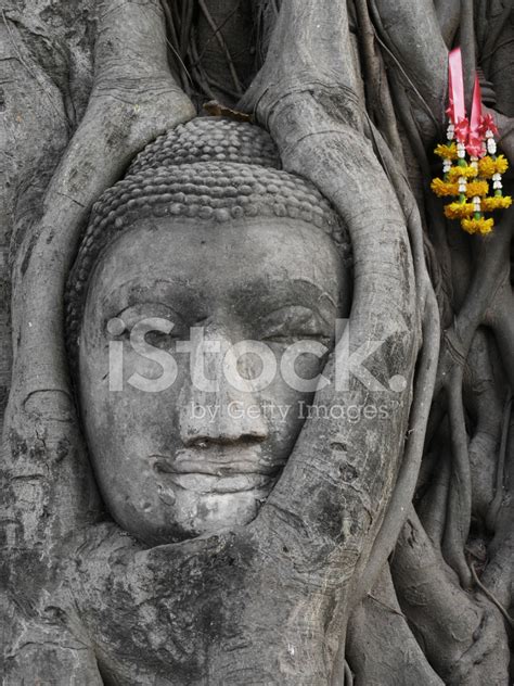 Buddah Head Stock Photo | Royalty-Free | FreeImages