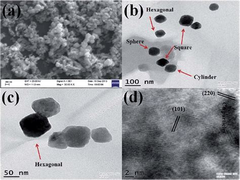 A High Magnification Fe Sem Micrographs Of The As Prepared Cdo Zno