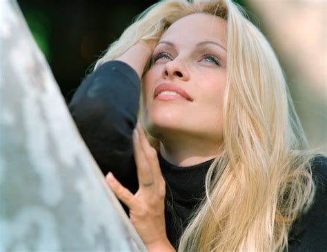 28619 125833737438002 3761210 N Pamela Anderson Photo 39762454 Fanpop