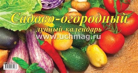 Календарь настольный перекидной Домик Садово огородный лунный 2023 купить по цене 72 руб в