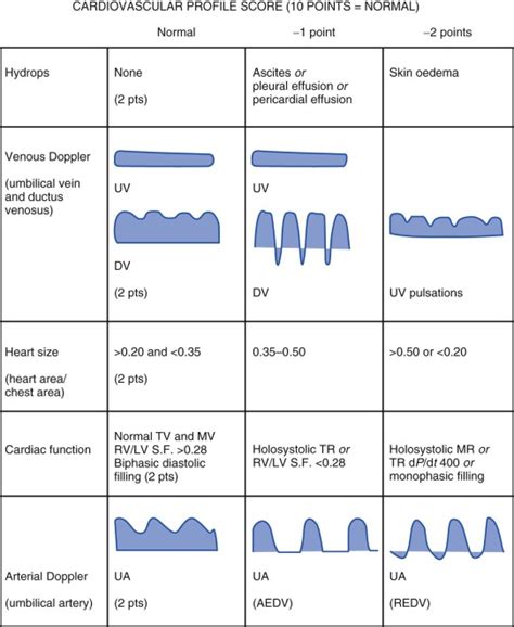 The Fetal Cardiovascular Examination Radiology Key