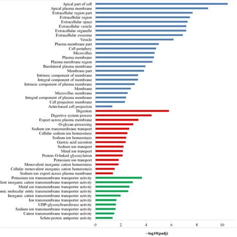 Heatmap Of Hierarchical Clustering Indicates Differentially Expressed Download Scientific