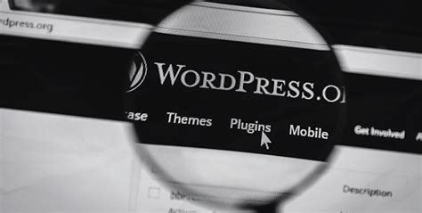 Why Is Wordpress So Popular