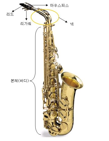 색소폰이란 악기 네이버 블로그
