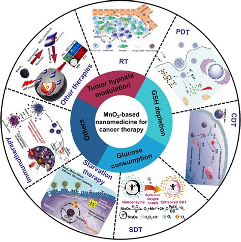 Multifunctional Mno2 Nanoparticles For Tumor Microenvironment