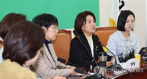 발언하는 이은주 원내대표 네이트 뉴스