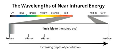 Infrared Light « Science Of Light