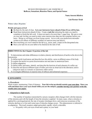 Lab 2 Sensations And Reflexes Lab 2 Sensations And Reflexes Adapted From Human Anatomy
