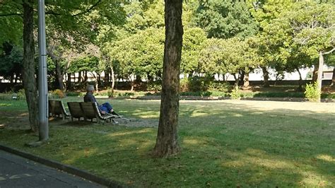 11月 2016 訪問介護事業所芳泉｜株式会社housen
