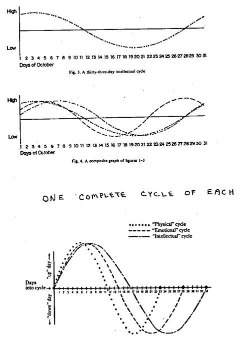 Biorhythms And The Sine Curve