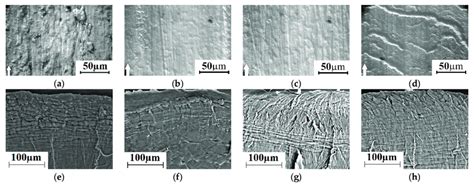 Sem Micrographs Of The Uhmwpe Wear Surfaces And Subsurface Layers