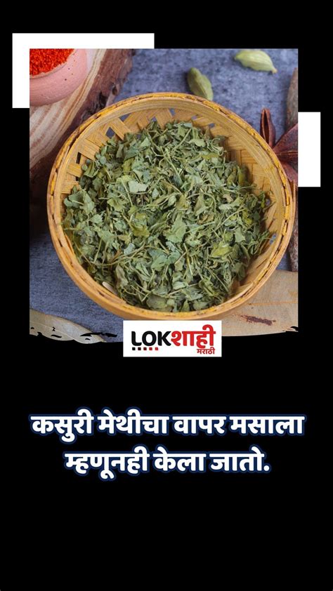 घरीच तयार करा कसुरी मेथी जाणून घ्या सोप्पी रेसिपी