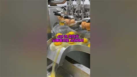 월급 250만원짜리 중소기업 구내식당을 지원한 45세 요리사 Youtube