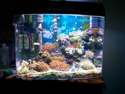 Full Frontal Tank Shots Nano Reef Community