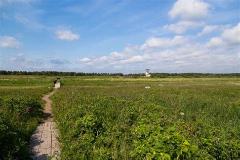 道北エリア ベニヤ原生花園