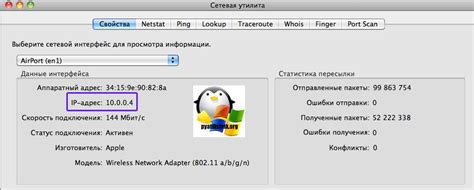 Как узнать Ip адрес компьютера Windows Macos за минуту Настройка серверов Windows и Linux