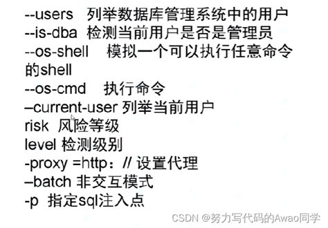 信安学习day14：sqlmap的基础使用 Csdn博客