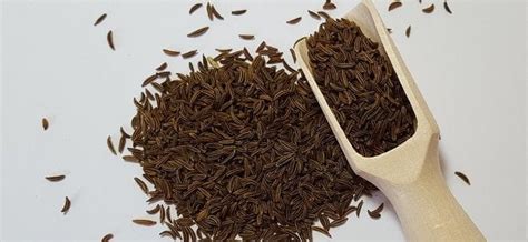 Caraway Seeds Health Benefits And Remedies Healthy Hildegard