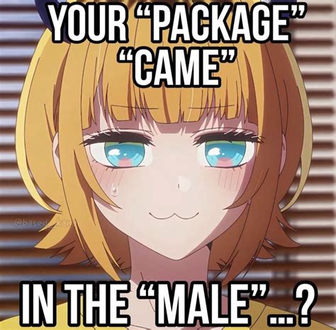 Anime Came In Male Your Package Came In The Male Know Your Meme