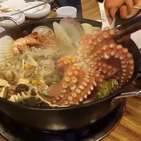 용봉탕 자라탕 해신탕 맛집 Youtube