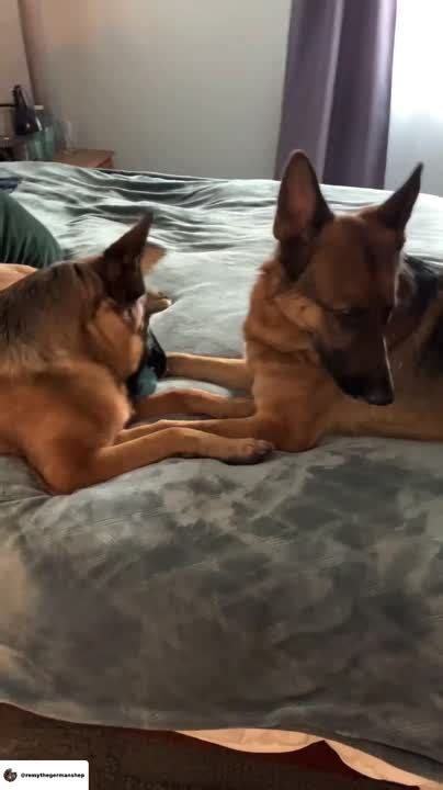 Drew Arthur Posted On Linkedin