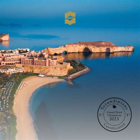 Gina Siojo Posted On Linkedin