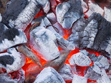 Coal Vs Charcoal Grilling Temperature Burn Time And More Fireplace Tips