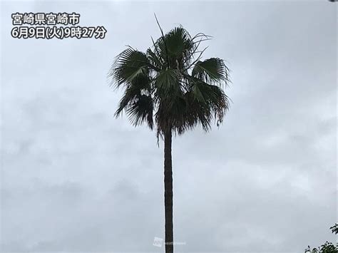 九州は夕方から局地的に激しい雨 梅雨前線が北上 ウェザーニュース