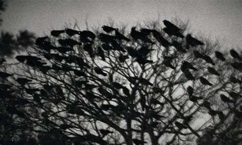 جریان این‌ عکاس ژاپنی رو که خوندم یاد دخترهایی افتادم که میگن کاش پارتنر من عکاس باشه ماساهیسا