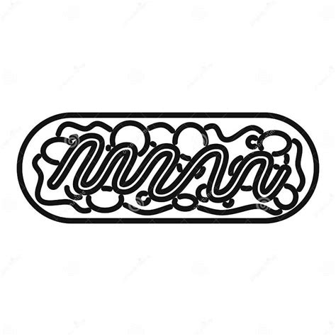 Escherichia Coli Bacteria Showing Nucleoid Inside Cell Membrane Stock