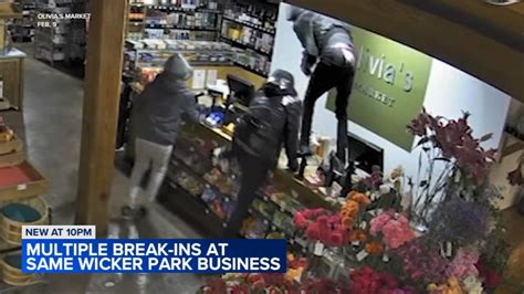 Chicago Crime Spree Hammer Wielding Burglars Behind 5 Wicker Park