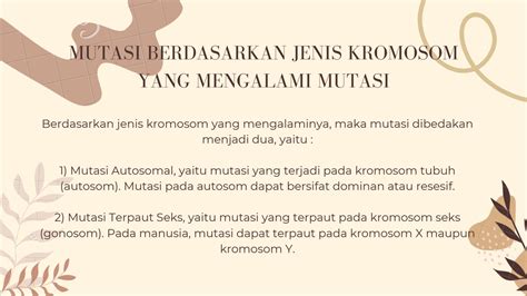 SOLUTION Macam Macam Mutasi Studypool
