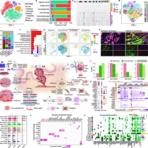 A T Sne Plot Of High Quality Cells Across All Samples Colored By Cell
