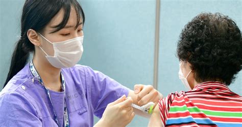 화이자 백신 교차접종