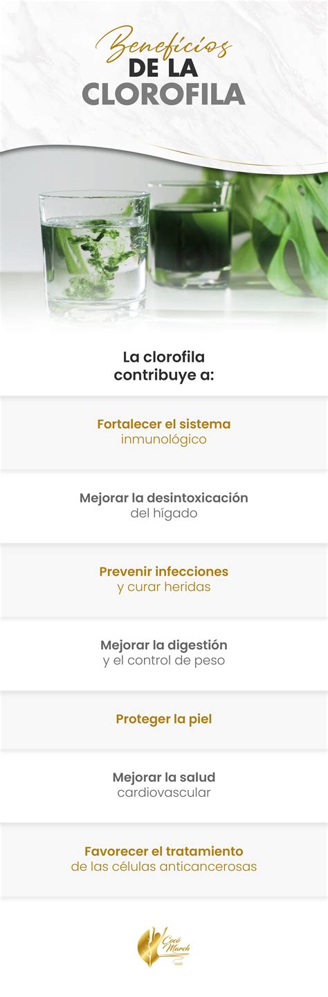 7 Beneficios De La Clorofila Para La Salud