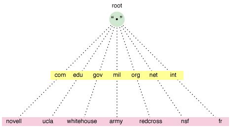 Novell Documentation DNS DHCP DNS Hierarchy