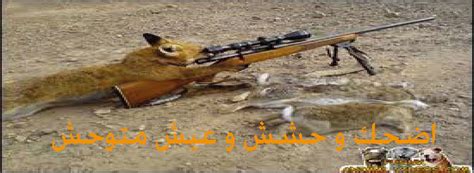اضحك و حشش و عيش متوحش
