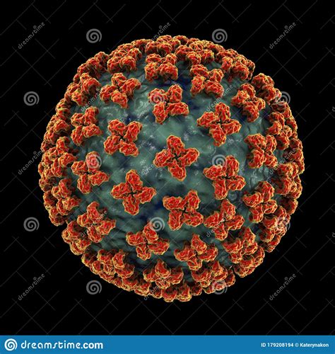 Orthohantavirus That Causes Hantavirus Hemorrhagic Fever With Renal